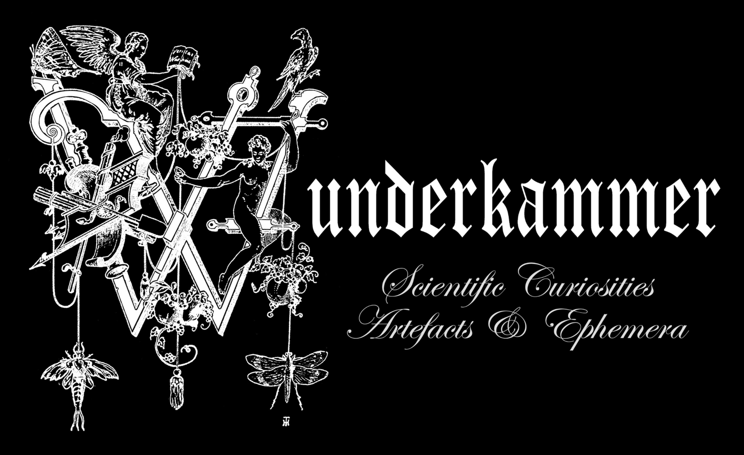 News – Wunderkammer